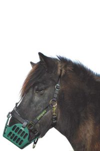 GreenGuard Horse Grazing Muzzle - Performa Ride